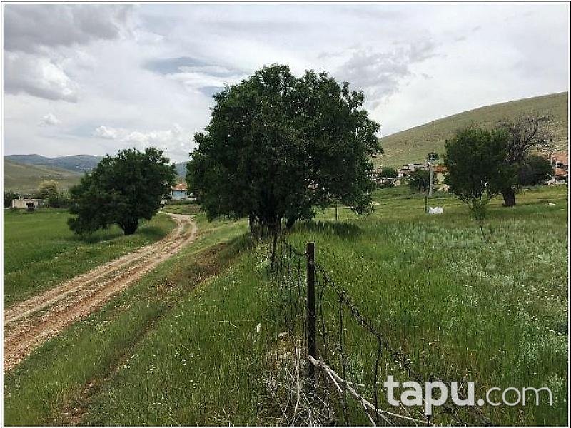 Afyonkarahisar Dinar'da 11.450 m2 Tarla - Afyonkarahisar Dinar Bankadan ...