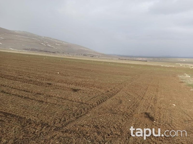 Afyonkarahisar Dinar Akpınarlı Köyü 15 Dönüm Tarla - Afyonkarahisar ...