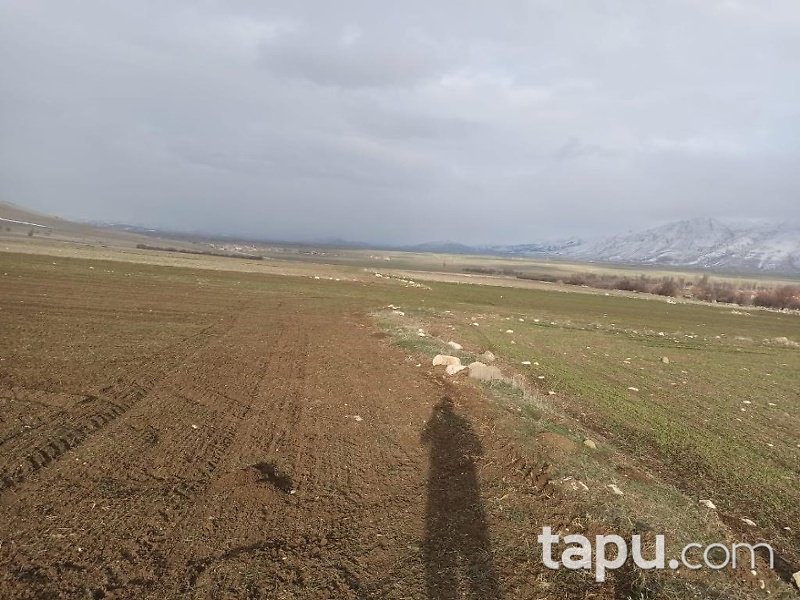 Afyonkarahisar Dinar Akpınarlı Köyü 15 Dönüm Tarla - Afyonkarahisar ...