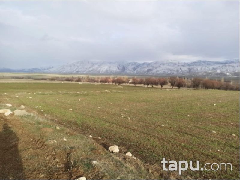 Afyonkarahisar Dinar Akpınarlı Köyü 15 Dönüm Tarla - Afyonkarahisar ...
